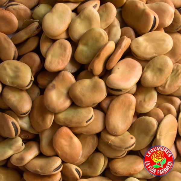 Habas Secas - Legumbres | La Flor Paramesa